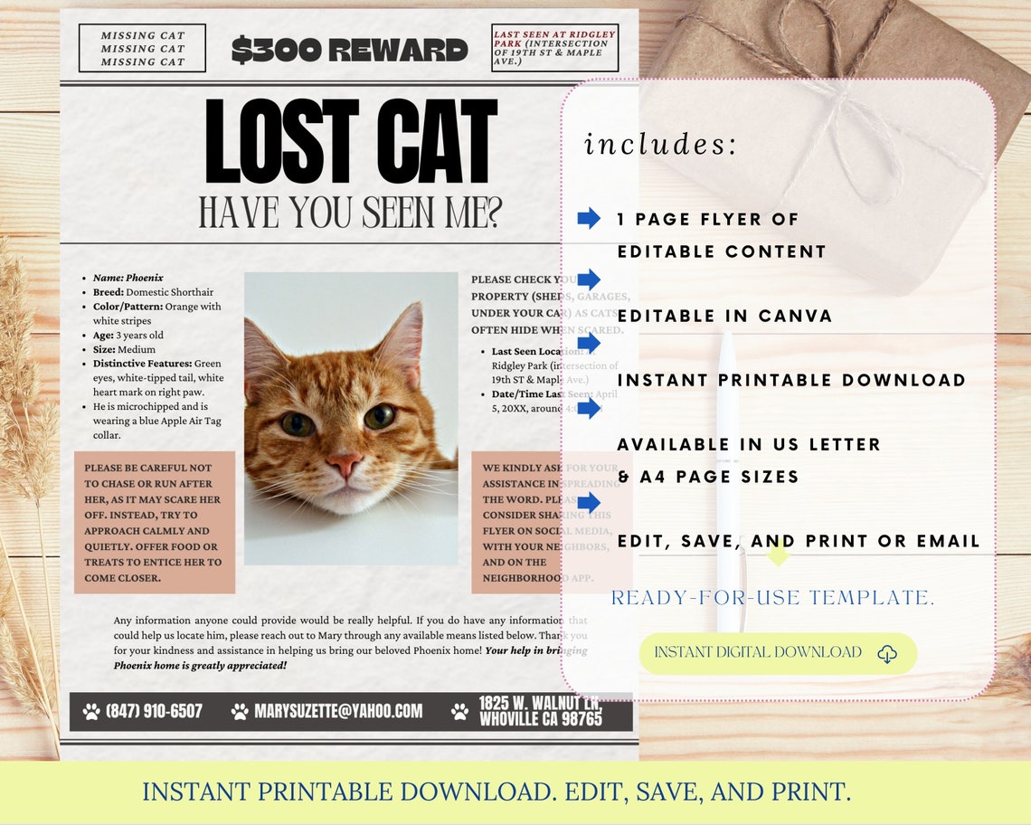 Modèle de Flyer chat disparu, affiche chat perdu, affiche modifiable d ...