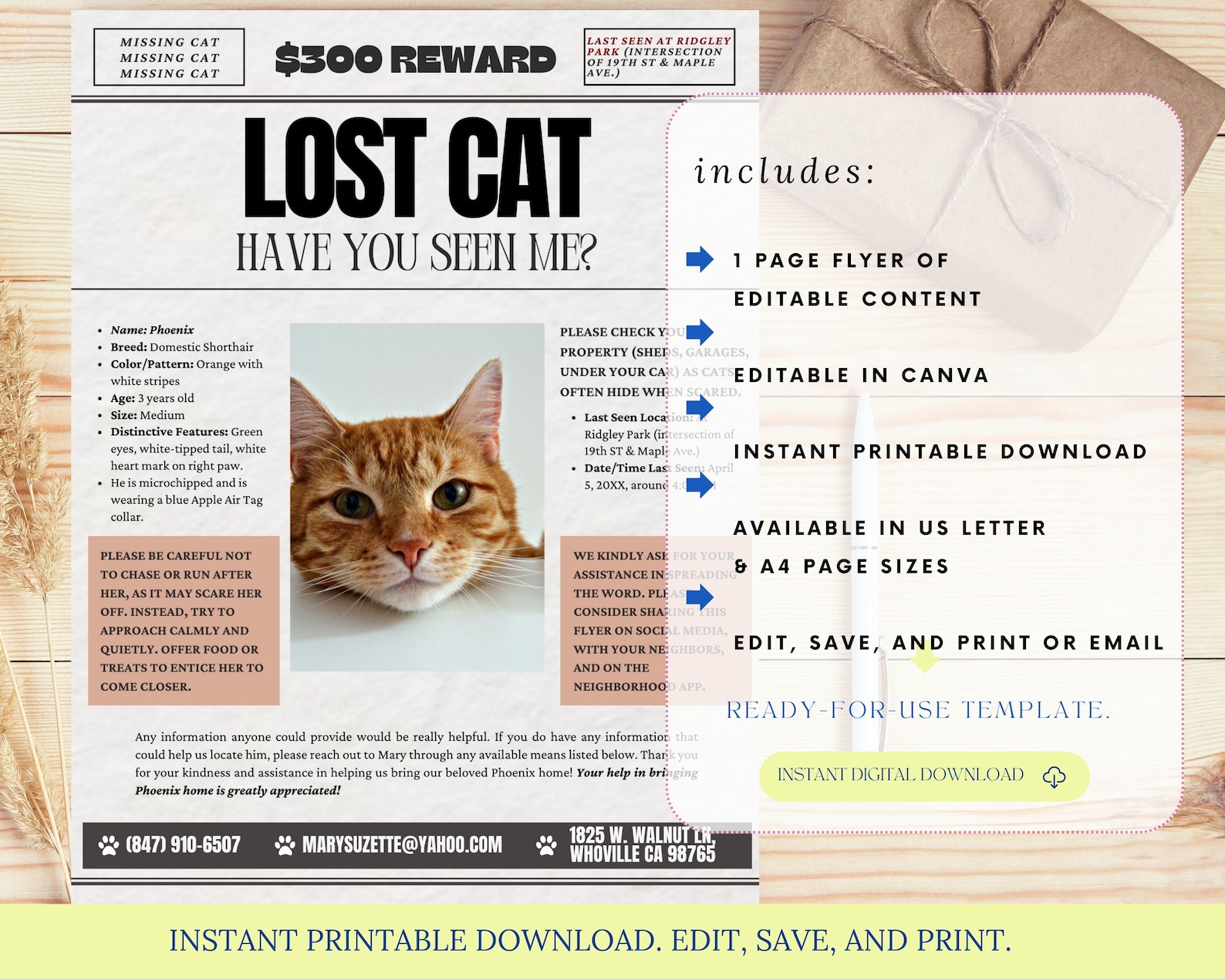 Modèle de Flyer chat disparu, affiche chat perdu, affiche modifiable d ...