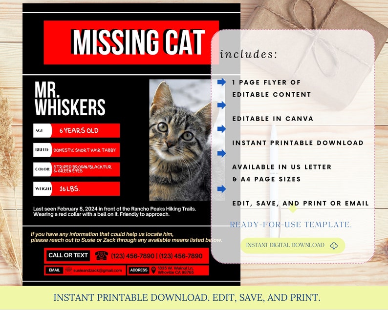 Missing Cat Flyer Template, Lost Cat Poster, Editable Lost Pet Poster ...
