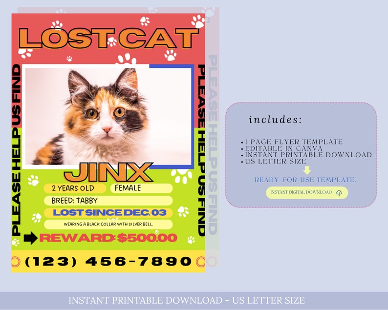 Missing Cat Template, Missing Cat Flyer, Editable Lost Pet Poster, Lost ...