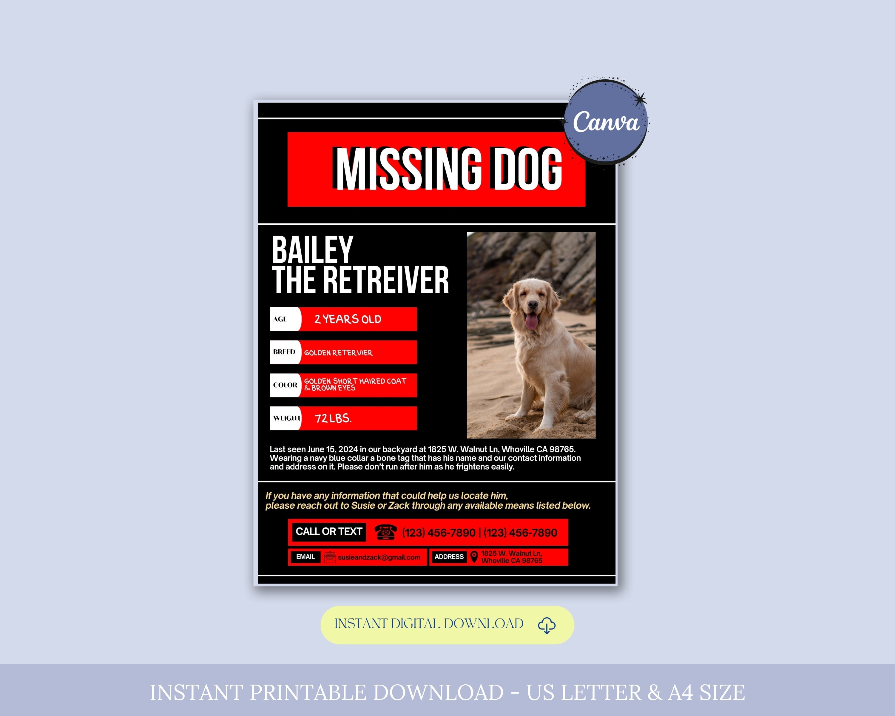 Missing Dog Flyer Template Missing Pet Poster Template Buying Editable