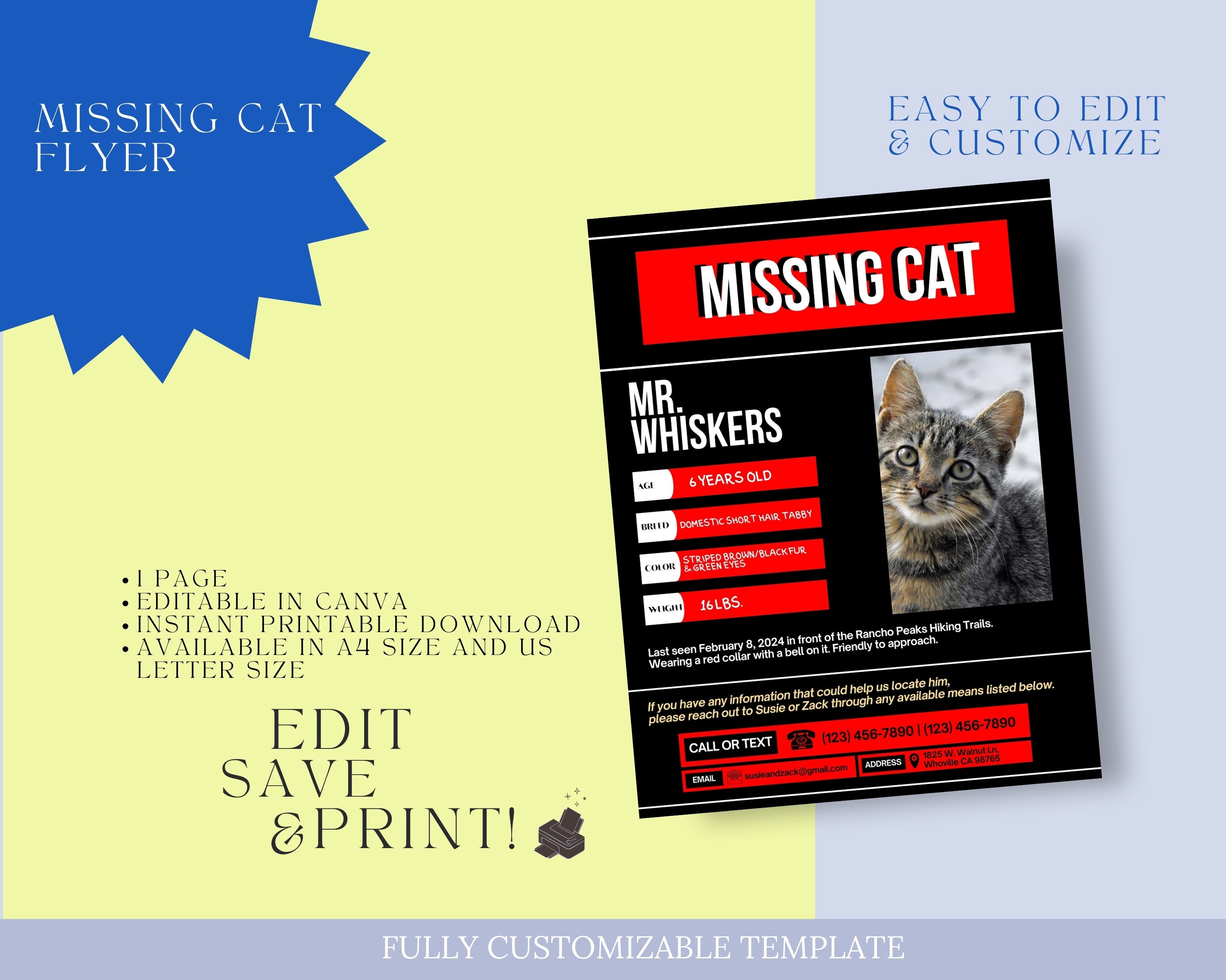 Missing Cat Flyer Template, Lost Cat Poster, Editable Lost Pet Poster ...