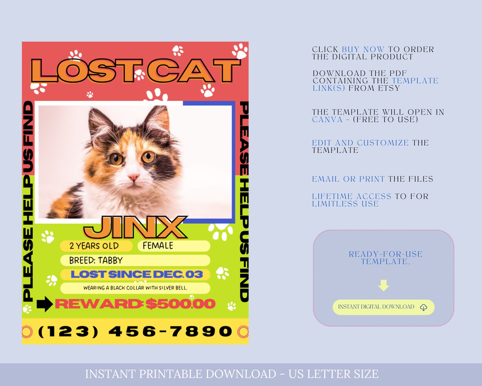Missing Cat Template, Missing Cat Flyer, Editable Lost Pet Poster, Lost ...