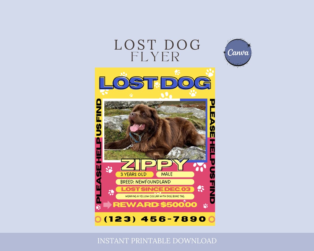 Missing Dog Template, Missing Dogflyer, Editable Lost Pet Poster, Lost ...