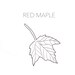 Printable Leaves Coloring Pages - Educational Activity for Kids - Etsy