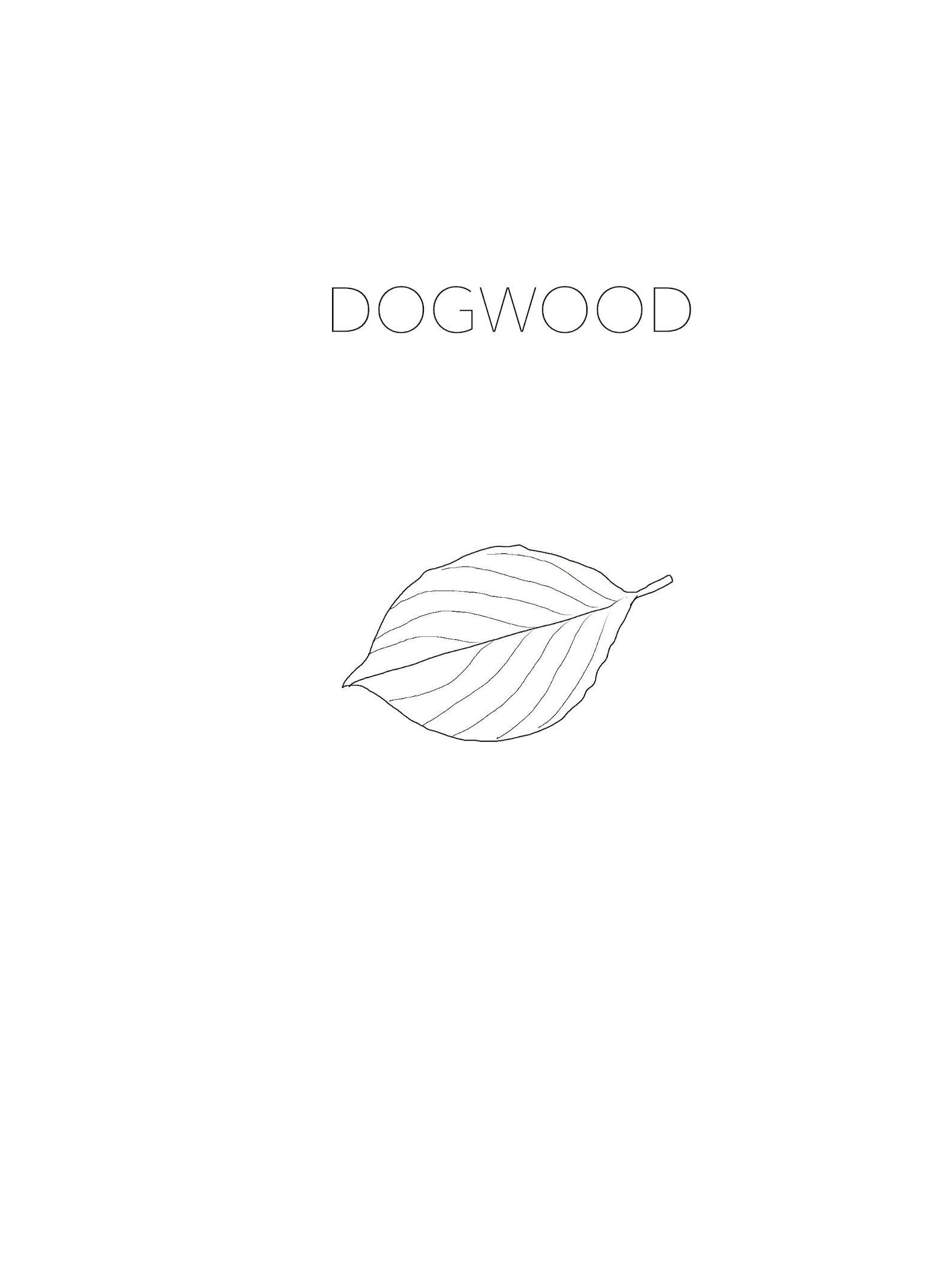 Printable Leaves Coloring Pages - Educational Activity for Kids - Etsy