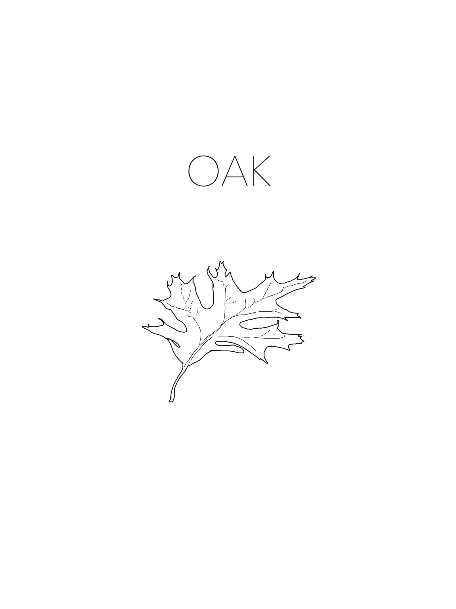 Printable Leaves Coloring Pages - Educational Activity for Kids - Etsy