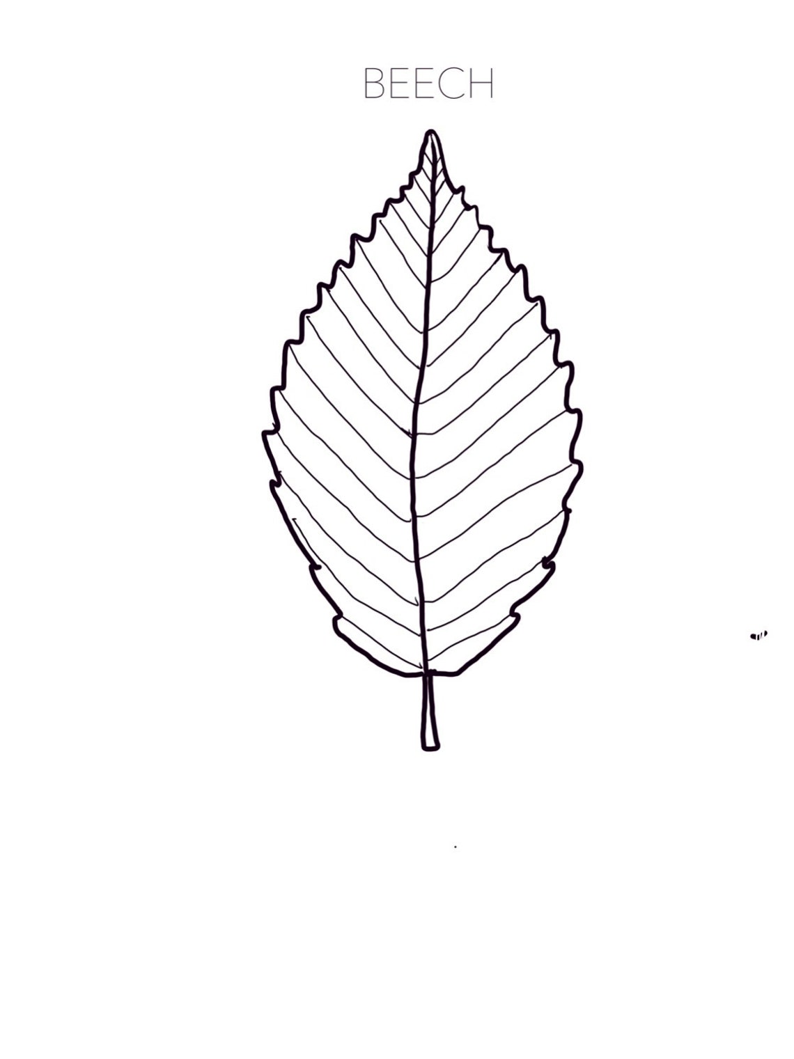 Printable Leaves Coloring Pages - Educational Activity for Kids - Etsy
