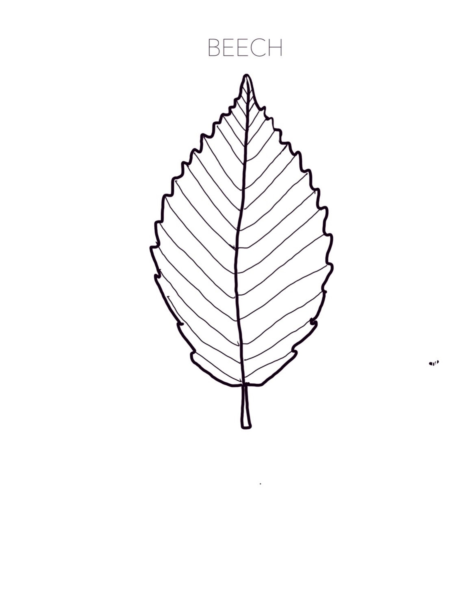 Printable Leaves Coloring Pages - Educational Activity for Kids - Etsy