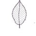 Printable Leaves Coloring Pages - Educational Activity for Kids - Etsy