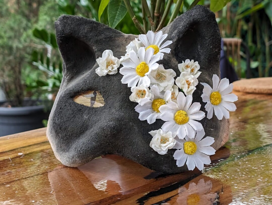 Daisy the Siamese Cat - Etsy