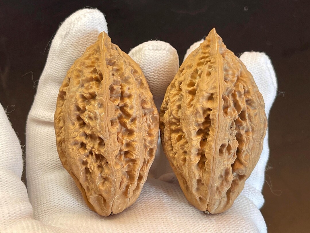 Iron Shoes - Pair of Matched Wenwan Walnut for Meditation, Collection ...