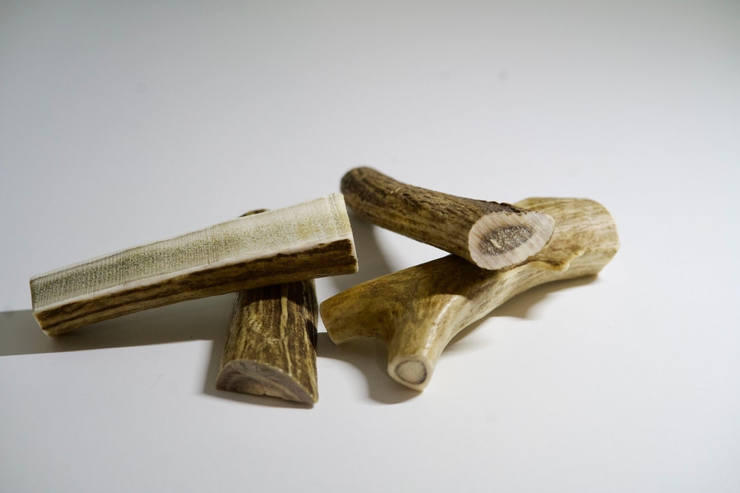 4pk Medium Antler Dog Chews. Fresh Antler Sourced From Alberta - Etsy