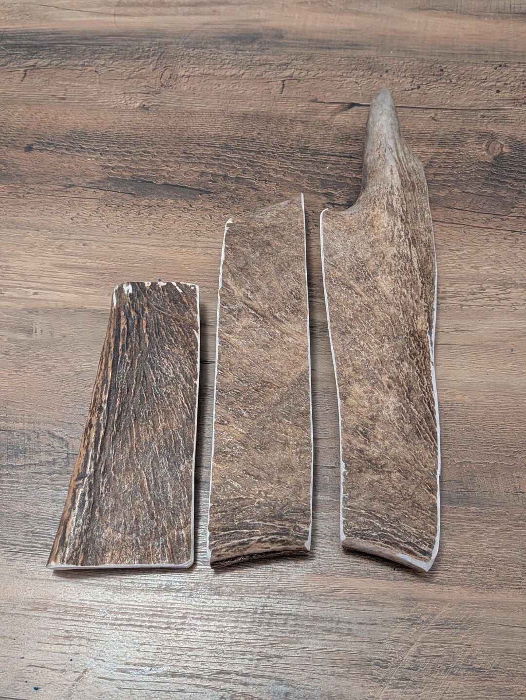 Natural Moose Antler Dog Chews | Moose Paddle Chews | Soft Antler ...