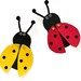 Lady Bug Craft Kit - Etsy