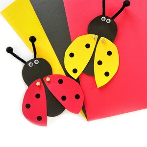 Lady Bug Craft Kit - Etsy