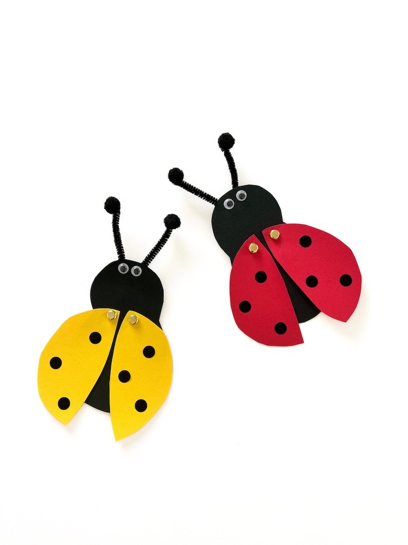 Lady Bug Craft Kit - Etsy