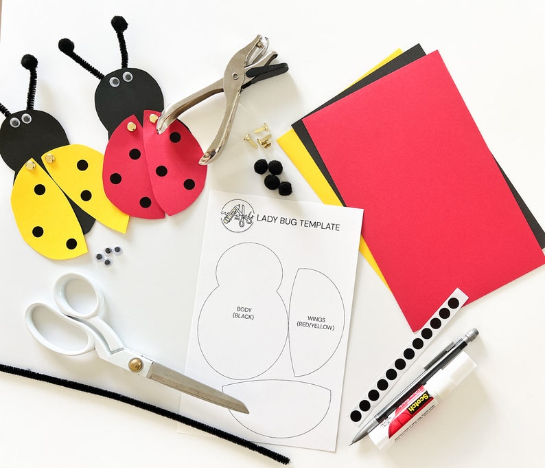 Lady Bug Craft Kit - Etsy