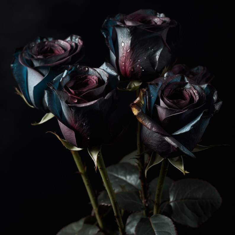 Midnight Roses on Black Background. Deep Metallic Colors. Dark ...