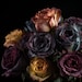 Midnight Roses on Black Background. Deep Metallic Colors. Dark ...