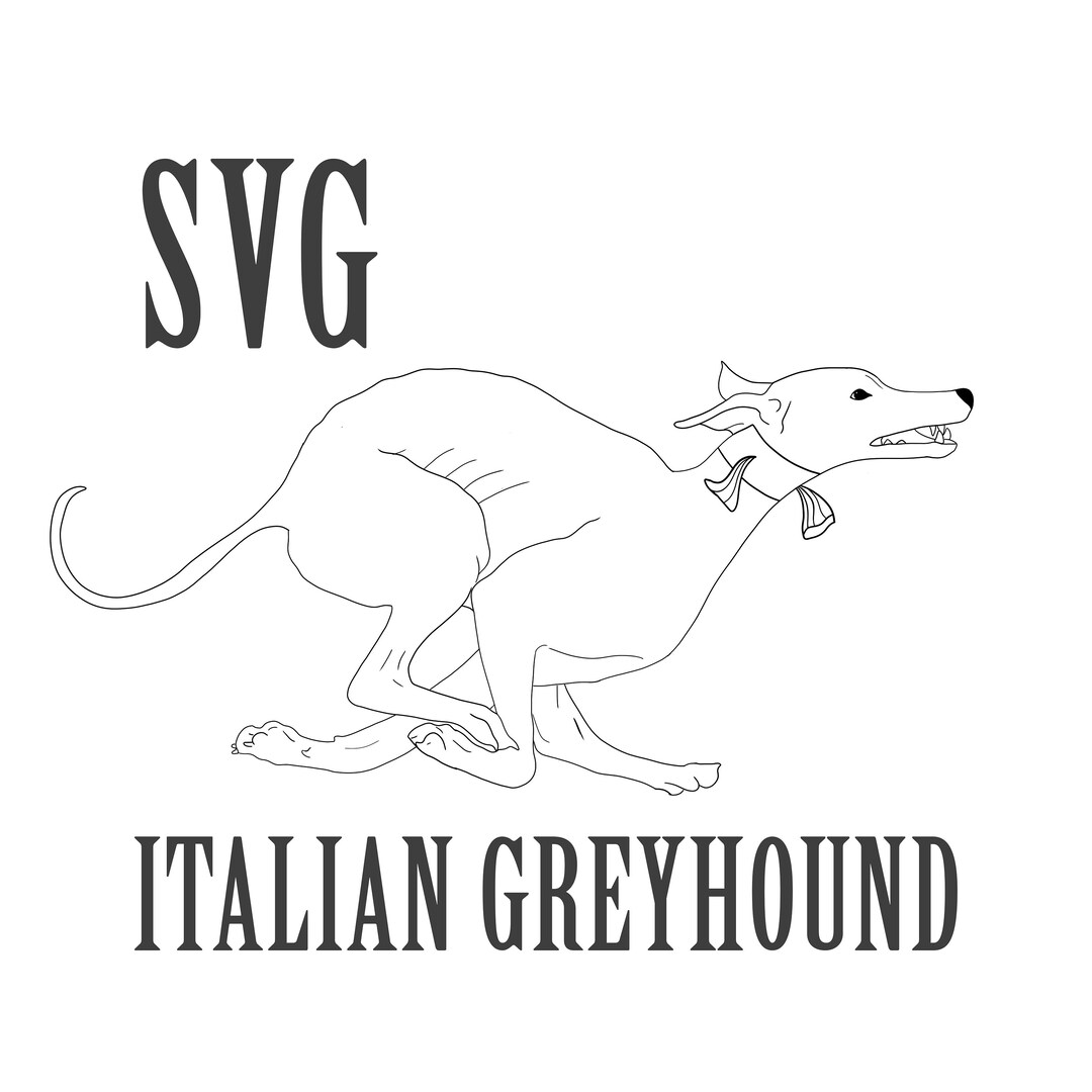SVG Italian Greyhound Sticker Digital File Car Decal - Etsy