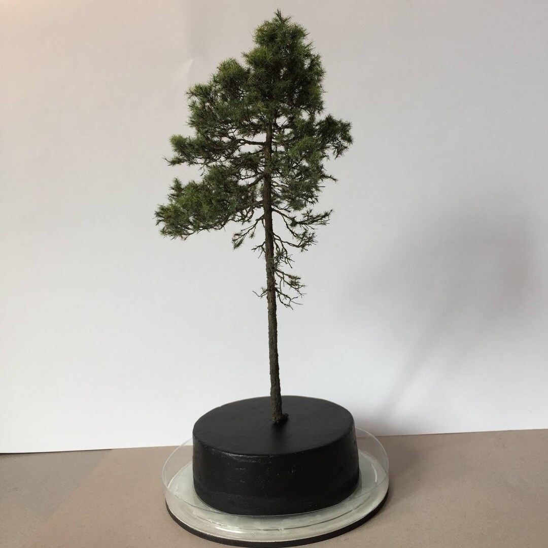 Pine Tree Model, Handcrafted, Suitable for Model Railroads, Dollhouses ...