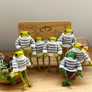 Cute Froggie , Custom Knittted Frog, Froggie's Sweater, Sweater to Fit ...