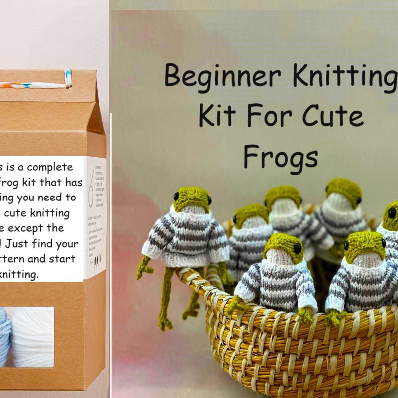 Frog Craft Kit - Etsy