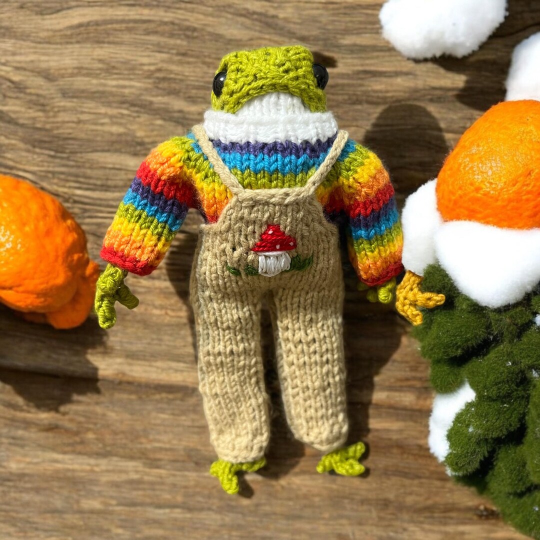 Handmade Knitted Frog: Rainbow Sweater, Organic Cotton Amigurumi - Etsy