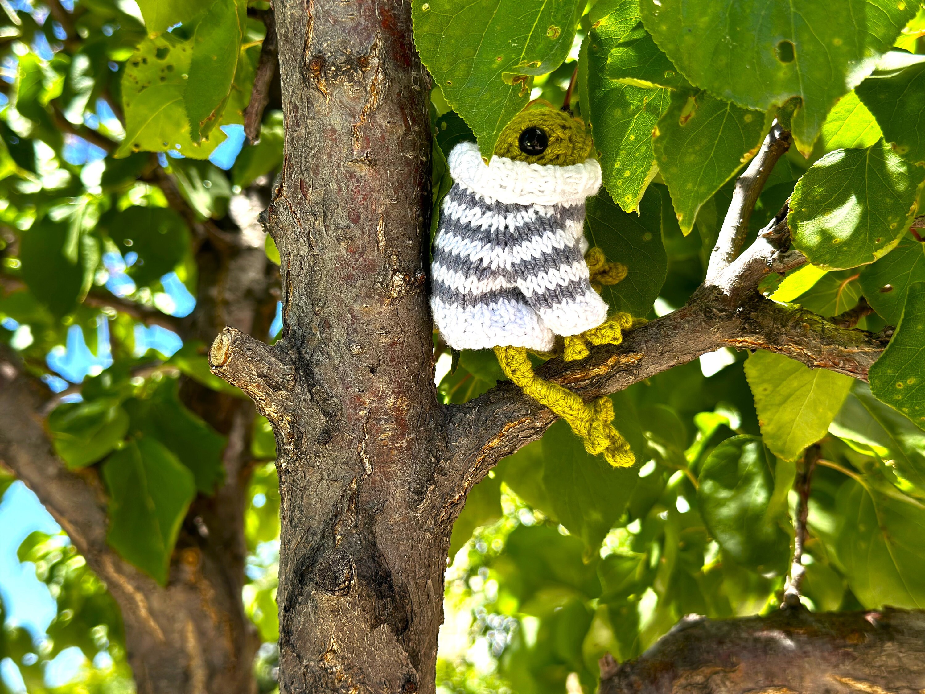 Cute Froggie , Custom Crochet Frog, Froggie's Sweater, Sweater to Fit ...