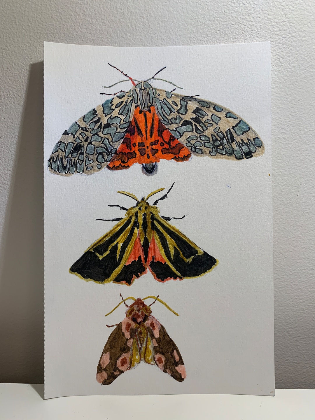 Three Moths - Etsy