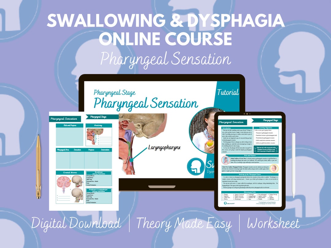 Adult Speech Therapy DYSPHAGIA COURSE (pharyngeal Sensation) Speech ...