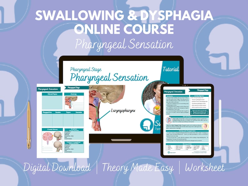 Adult Speech Therapy DYSPHAGIA COURSE (pharyngeal Sensation) Speech ...