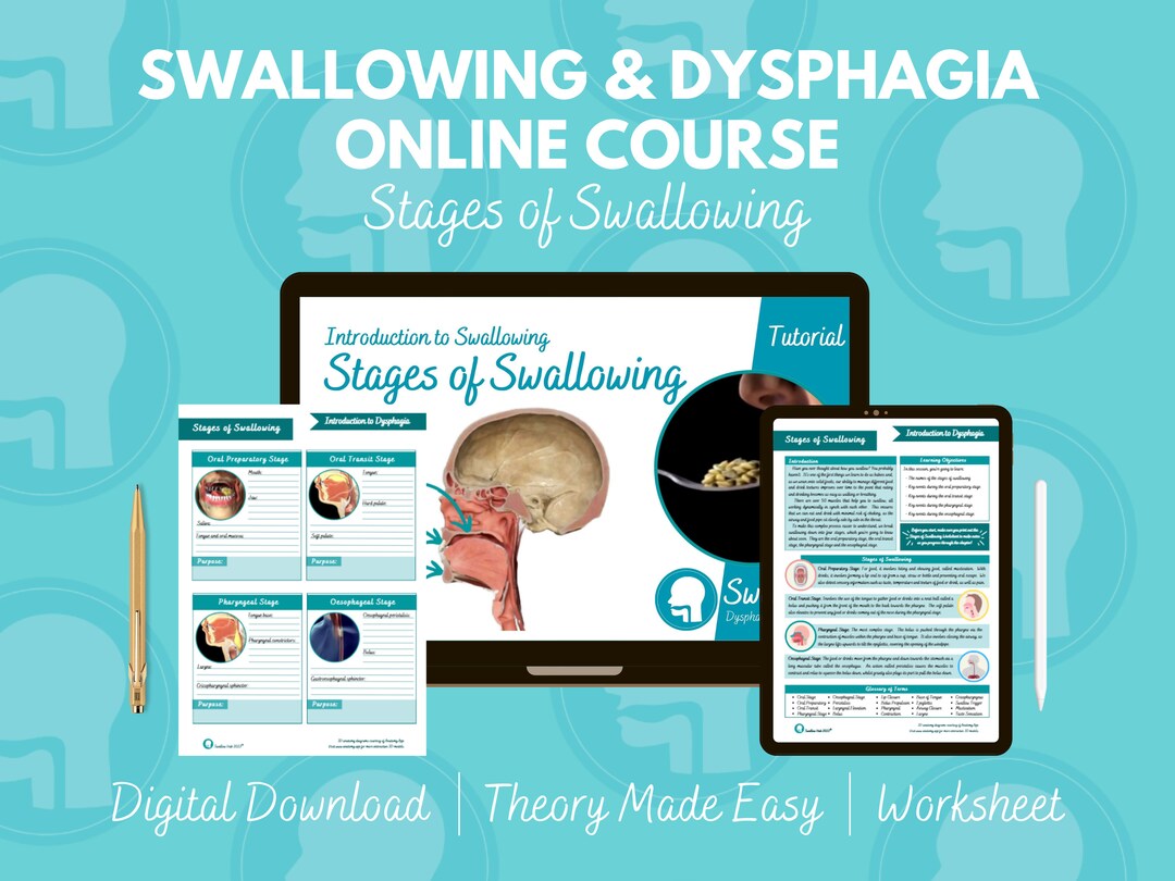 Adult Speech Therapy DYSPHAGIA COURSE (stages of Swallowing) Speech ...