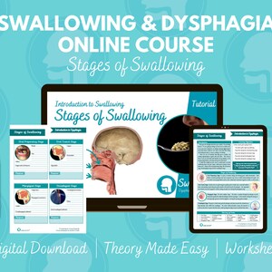 Adult Speech Therapy DYSPHAGIA COURSE (stages of Swallowing) Speech ...