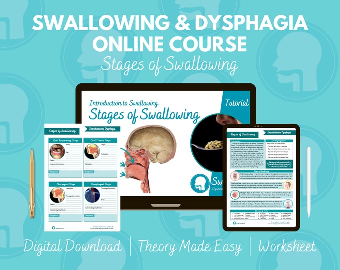 Adult Speech Therapy DYSPHAGIA COURSE (stages of Swallowing) Speech ...