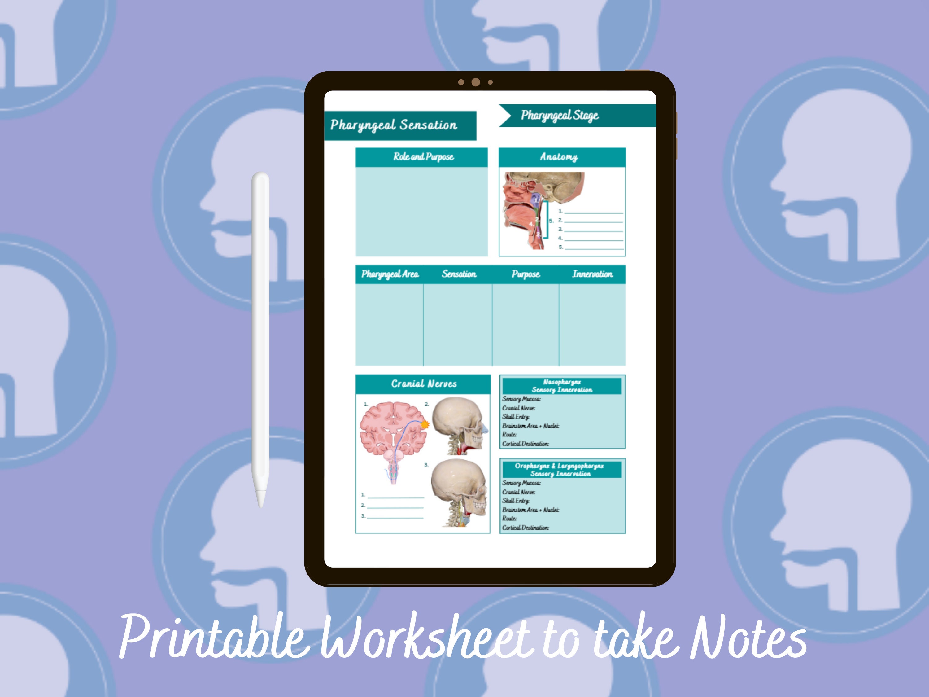 Adult Speech Therapy DYSPHAGIA COURSE (pharyngeal Sensation) Speech ...
