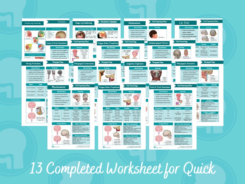 Adult Speech Therapy DYSPHAGIA TEXTBOOK: Introduction to Swallowing ...
