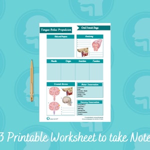Adult Speech Therapy DYSPHAGIA TEXTBOOK: Introduction to Swallowing ...