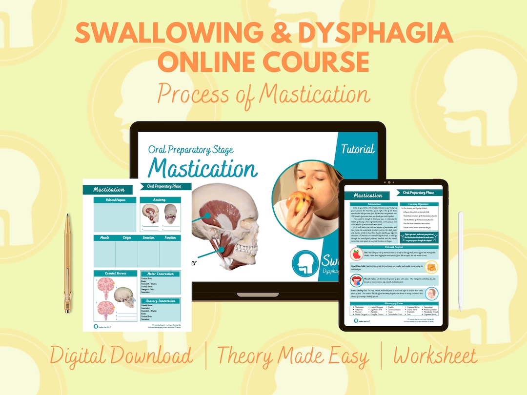 Adult Speech Therapy DYSPHAGIA COURSE (muscles of Mastication) Speech ...