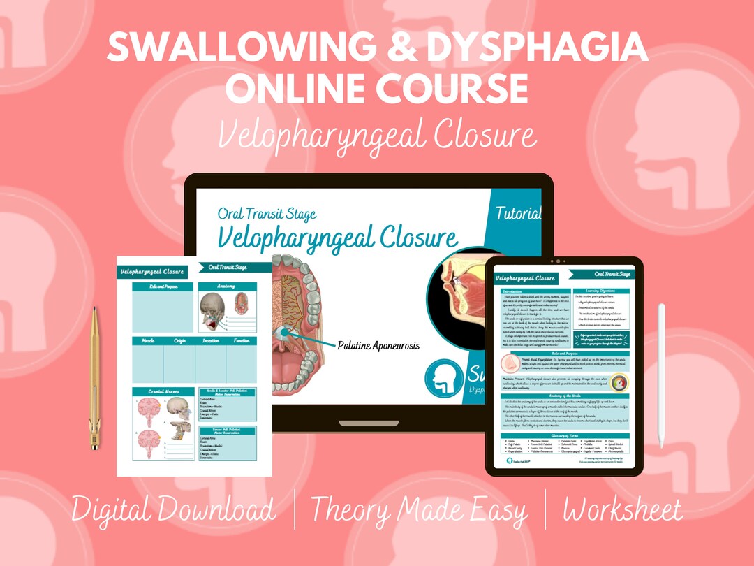 Adult Speech Therapy DYSPHAGIA COURSE (velopharyngeal Closure) Speech ...
