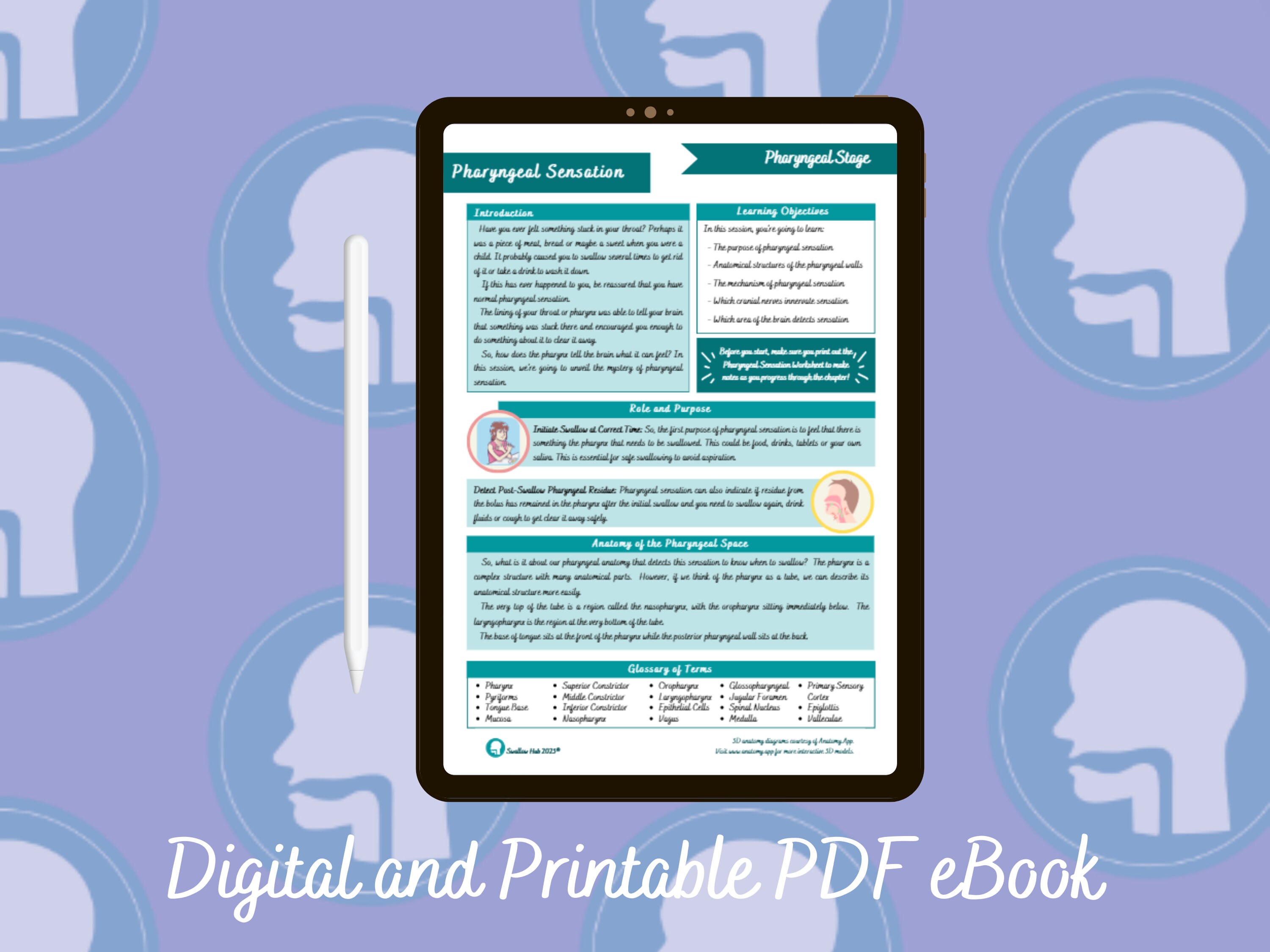 Adult Speech Therapy DYSPHAGIA COURSE (pharyngeal Sensation) Speech ...