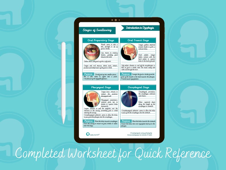 Adult Speech Therapy DYSPHAGIA COURSE (stages of Swallowing) Speech ...