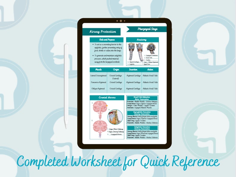 Adult Speech Therapy DYSPHAGIA COURSE (airway Protection) Speech ...