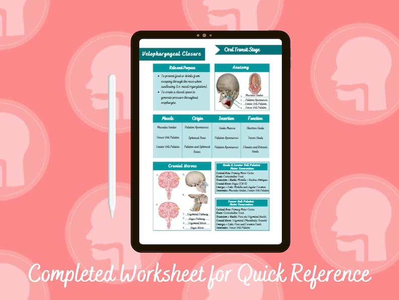 Adult Speech Therapy DYSPHAGIA COURSE (velopharyngeal Closure) Speech ...