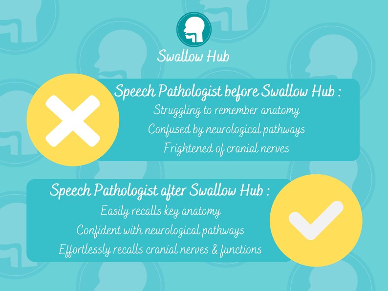 Adult Speech Therapy DYSPHAGIA COURSE (stages of Swallowing) Speech ...