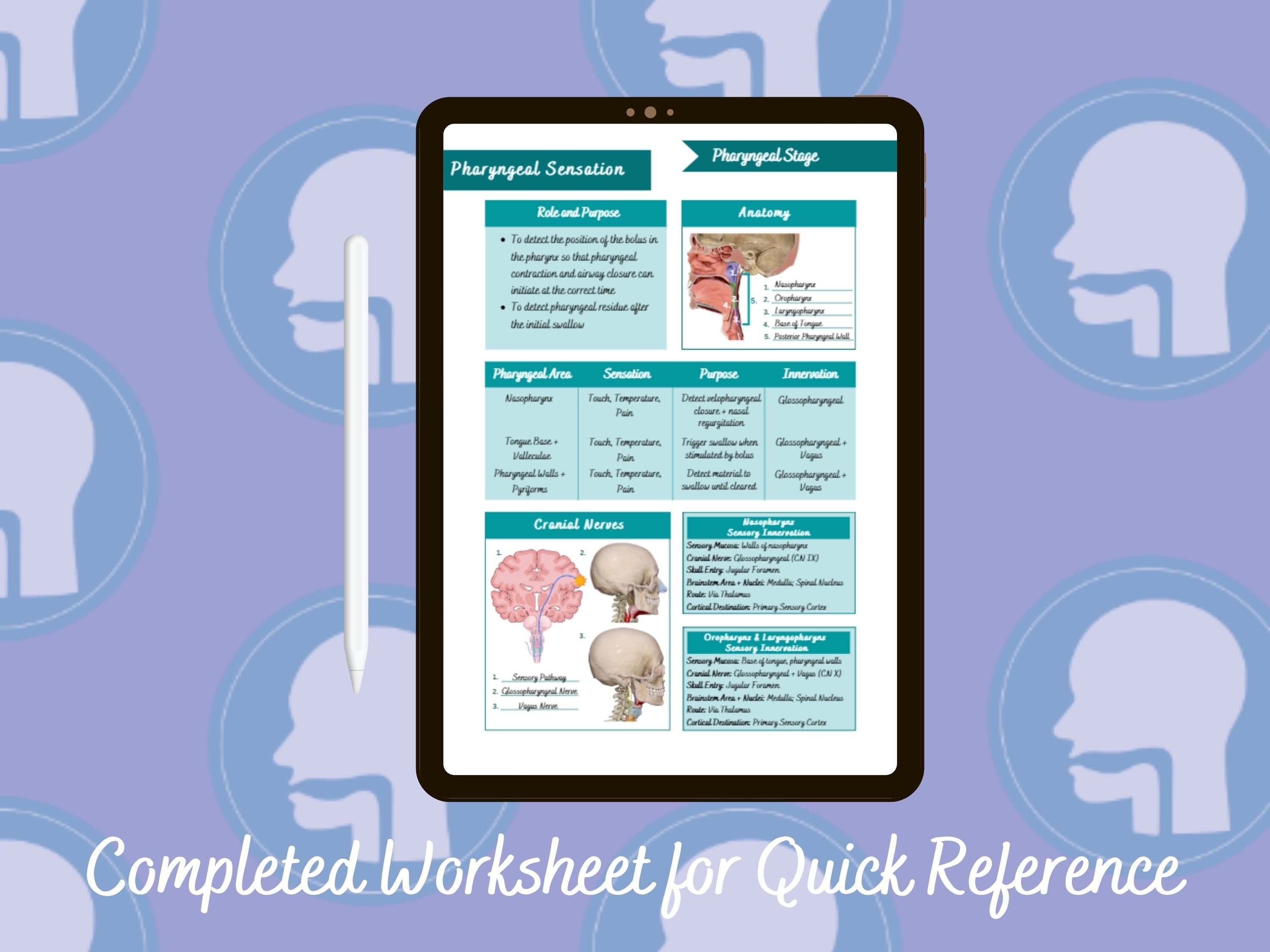 Adult Speech Therapy DYSPHAGIA COURSE (pharyngeal Contraction) Speech ...