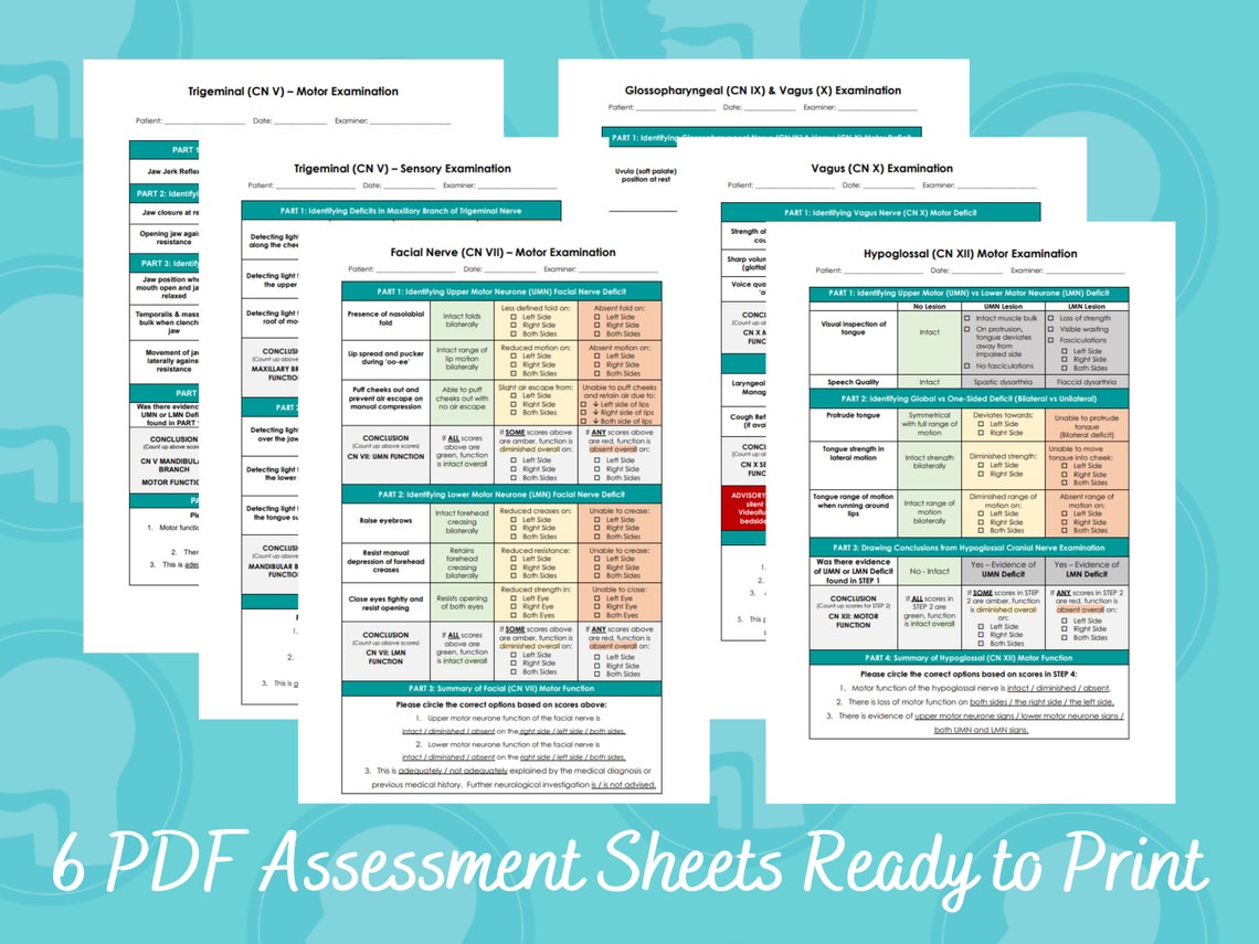Adult Speech Therapy Cranial Nerve Examination: Printable Dysphagia ...
