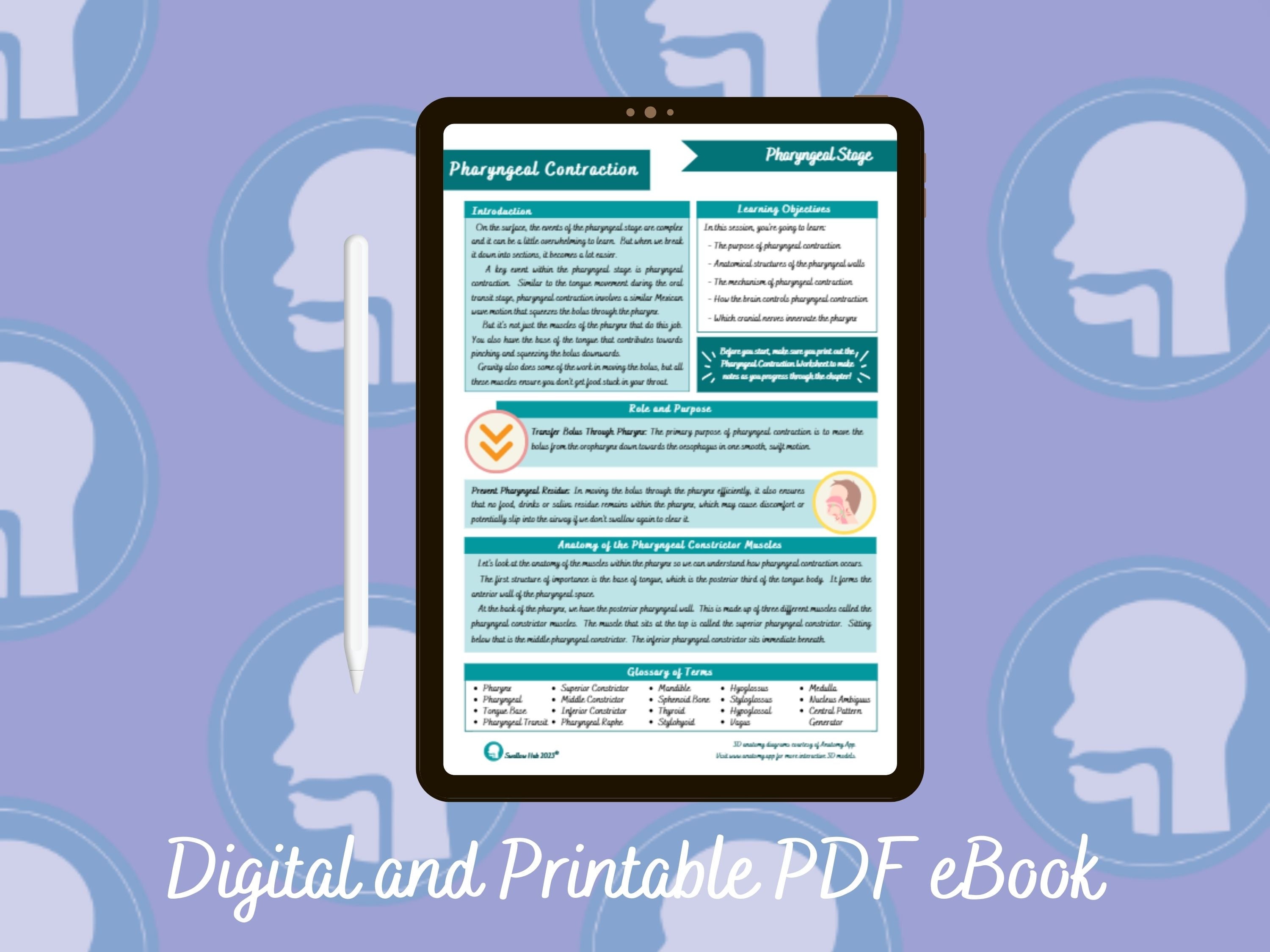 Adult Speech Therapy DYSPHAGIA COURSE pharyngeal Contraction Speech ...