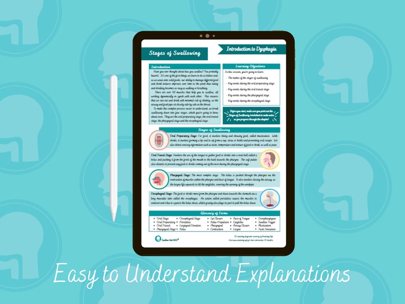 Adult Speech Therapy DYSPHAGIA COURSE (stages of Swallowing) Speech ...